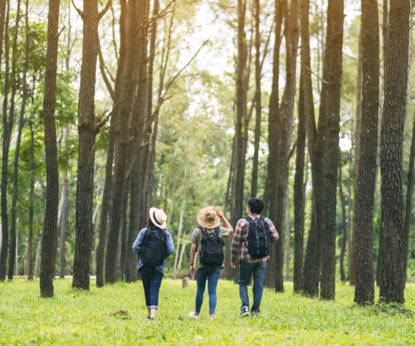 Benefits of Walking (The Physical & Mental Health Advantages)